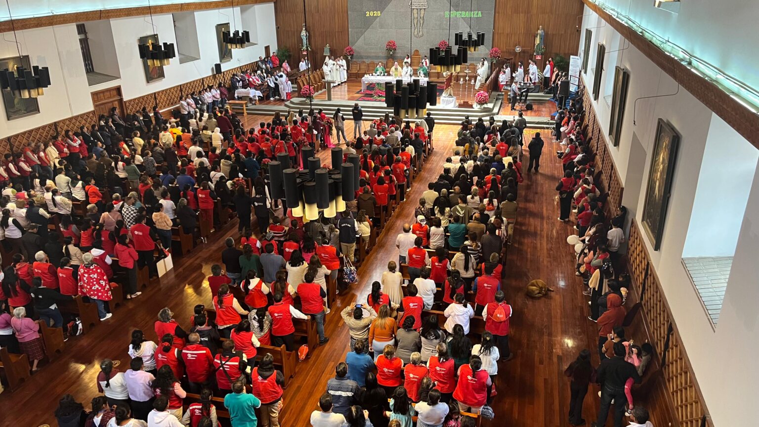Cáritas Ecuador celebra con éxito su Primer Encuentro Nacional de ...